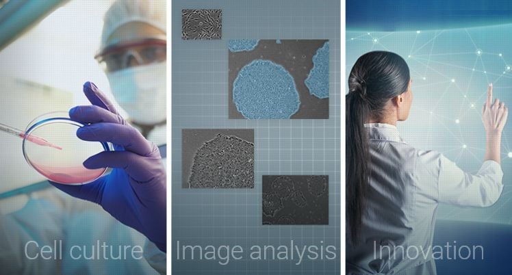 TOP | Cell x Image Lab - Nikon