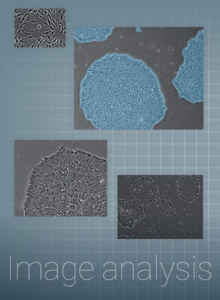 TOP | Cell x Image Lab - Nikon